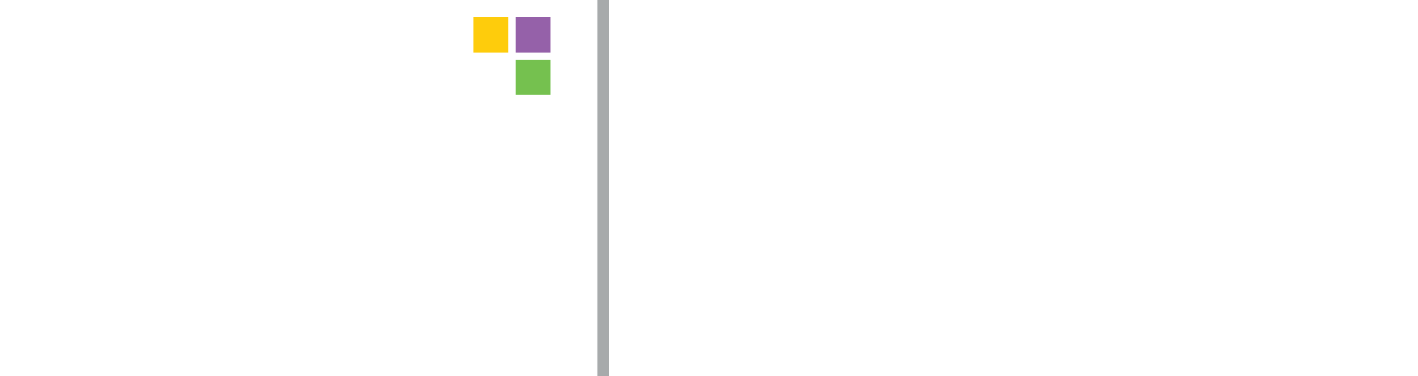 Jakarta International University • JIU